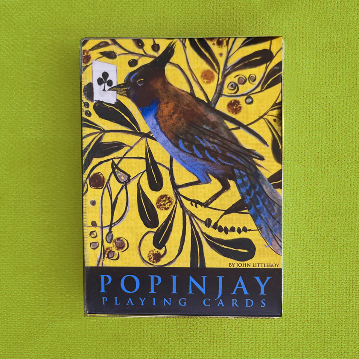 Popinjay Playing Cards - Perfect Gift for Bird Lovers – Artiphany